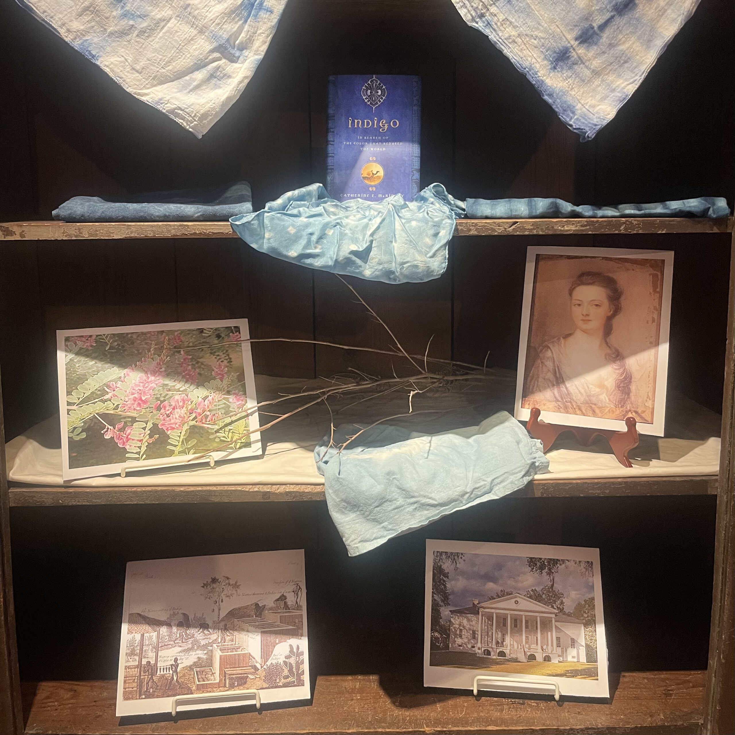Home - Georgetown County Museum
